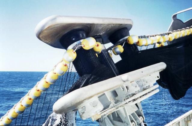 Halador de redes - Triplex - Petrel International