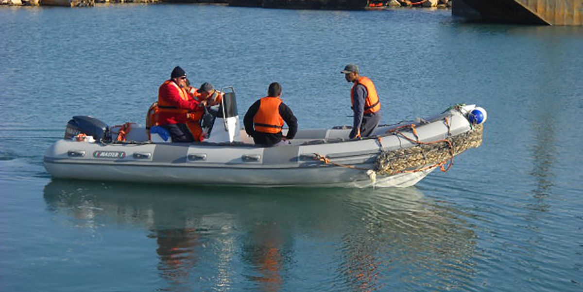 Barco profesional embarcación de apoyo al buceo - 730 - Master ...