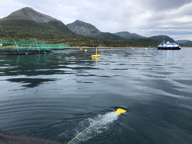 ROV submarino de intervención - Pro 5 - VideoRay - de observación