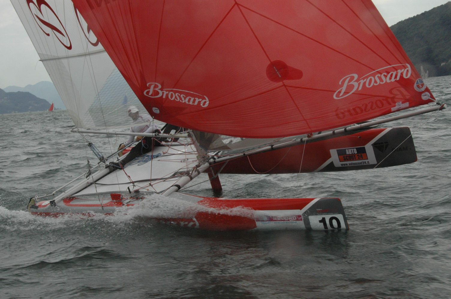 Foque - Ullman Sails - para multicasco deportivo / corte triradiale / F18