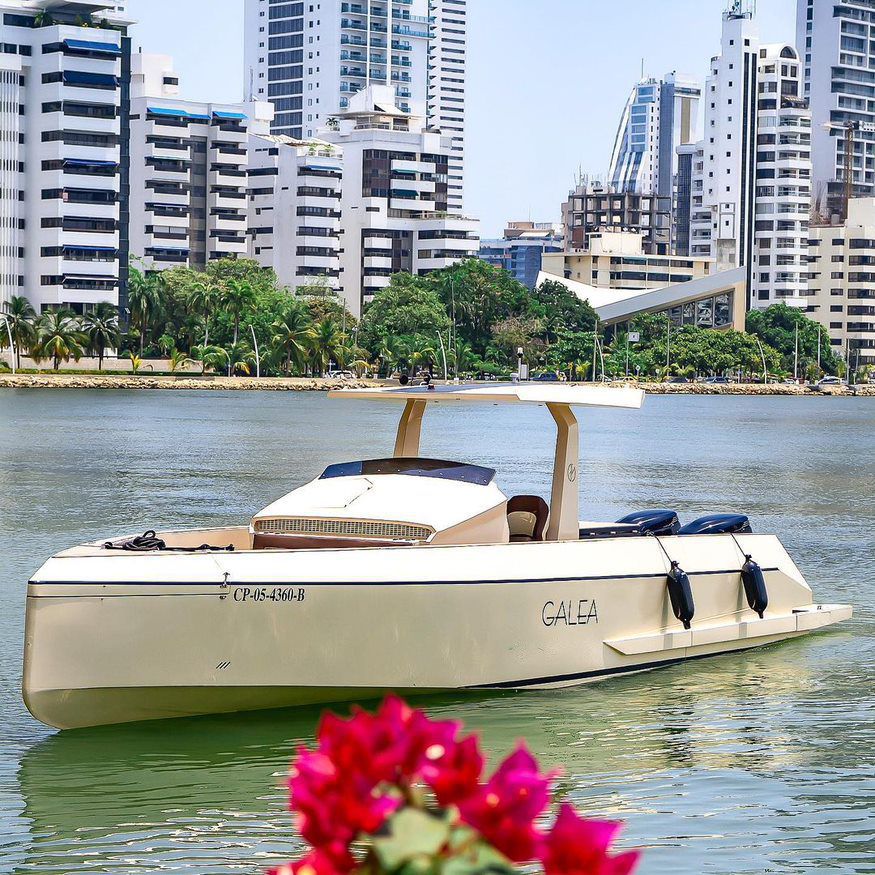 Barco profesional barco de pasajeros - Galéa 1100 - BORD A BORD ...