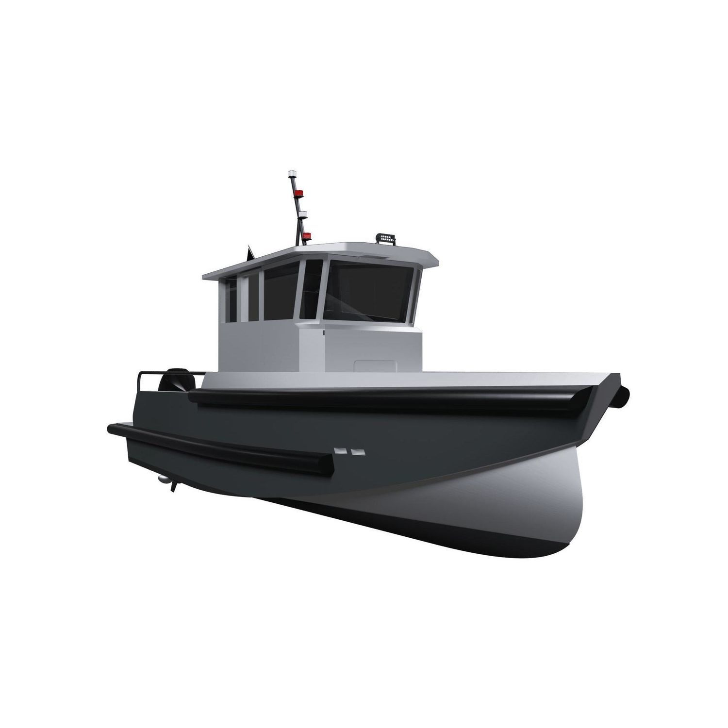 Barco profesional barco de pasajeros - PIXSEA PRO 750 RS - BORD A BORD ...