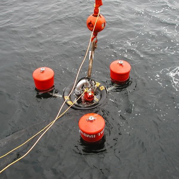 Skimmer de hidrocarburos de rebosadero - Termite - Desmi