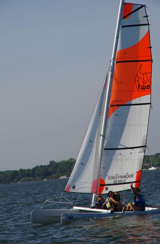 Vela mayor - GSDA161000 - Forward Sailing - para multicasco deportivo ...